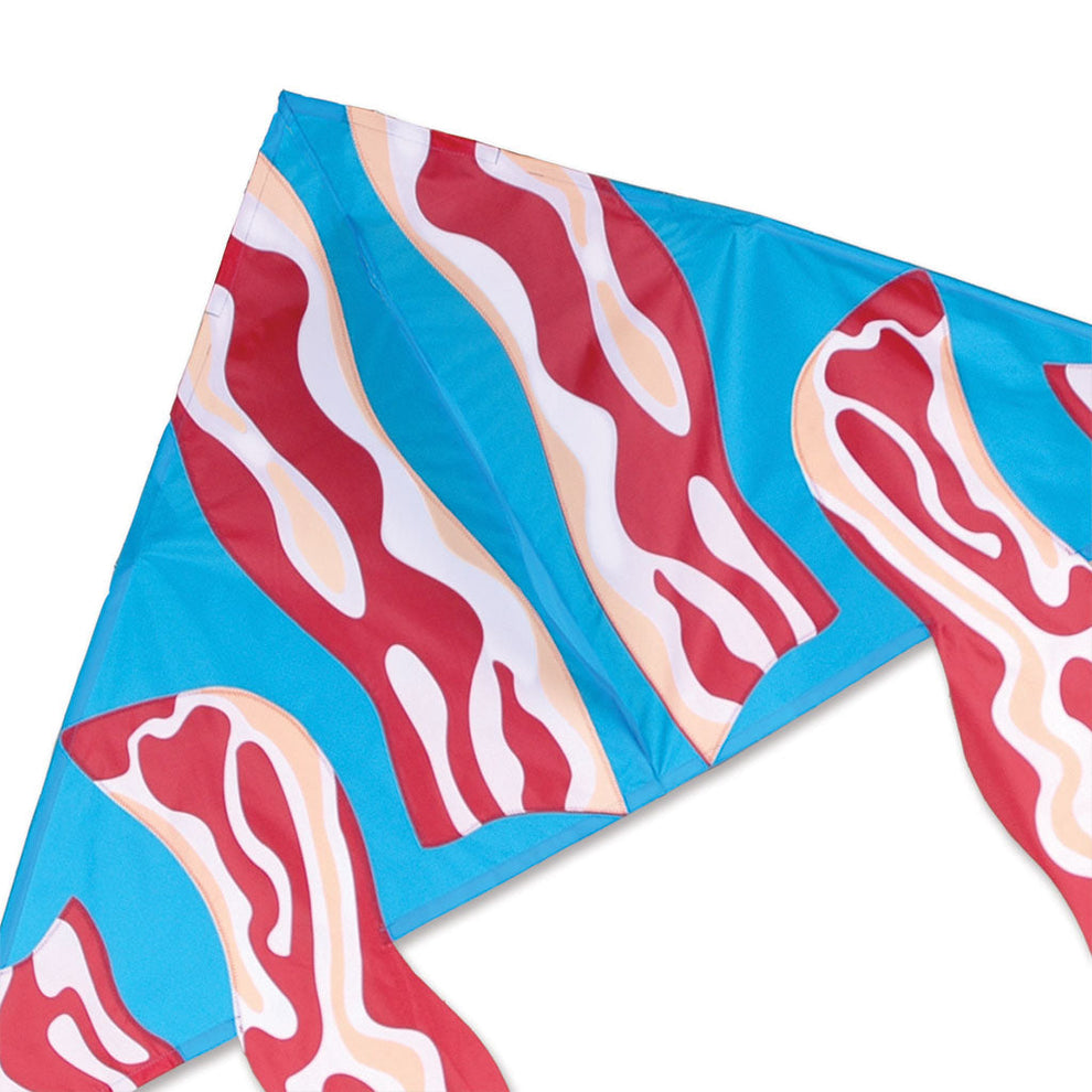 Bacon Polyester Delta Kite – Bailey's Seasonal Flags