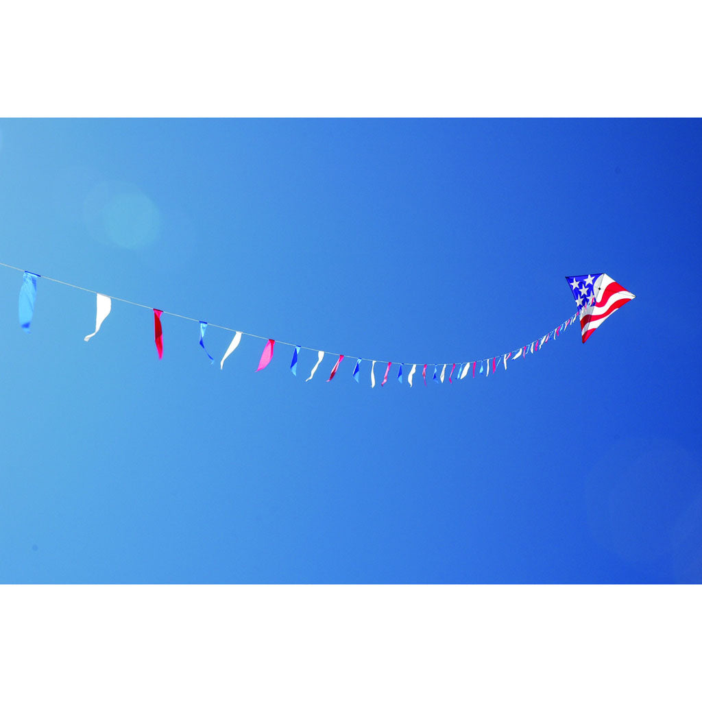 Patriotic Flag Line - 100' x 200 lb. Test Line – Bailey's Seasonal Flags
